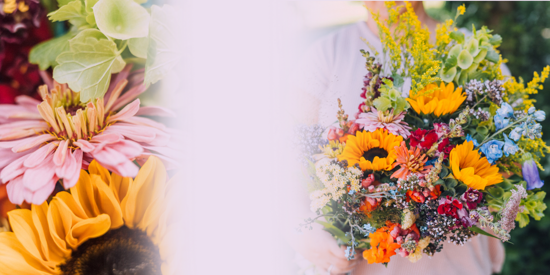 Home | Sowing Joy Farm